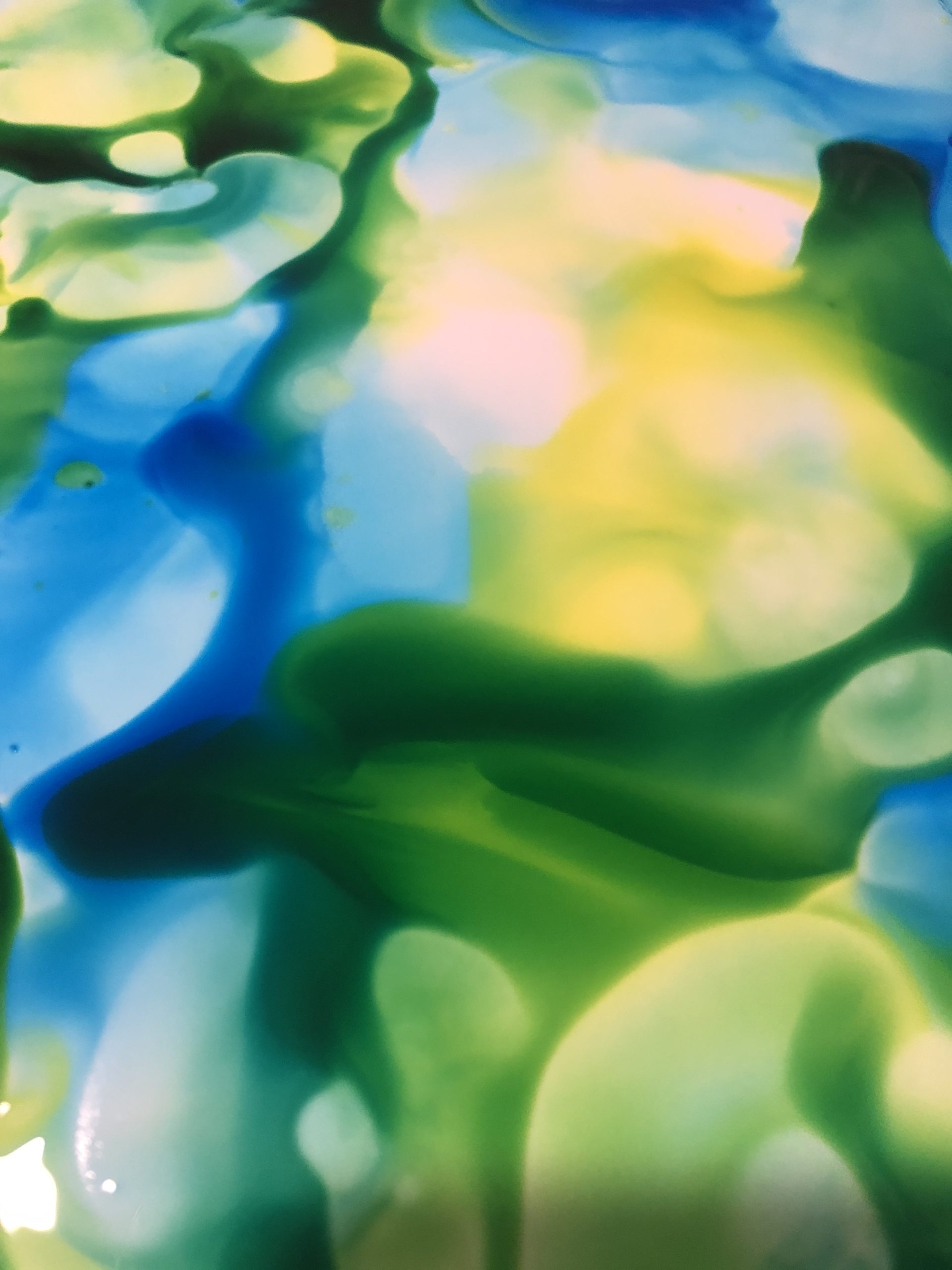 EVO Paper – Congrats! You Are A Star – Etc Papers