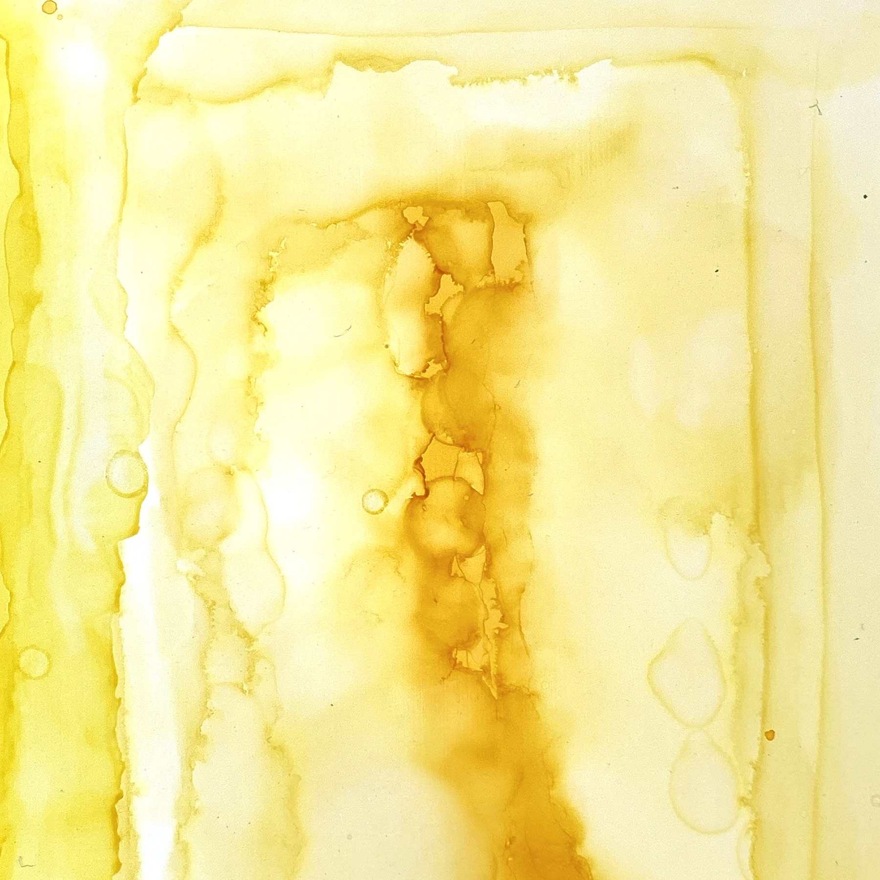 EVO – A Study in Yellow – Etc Papers