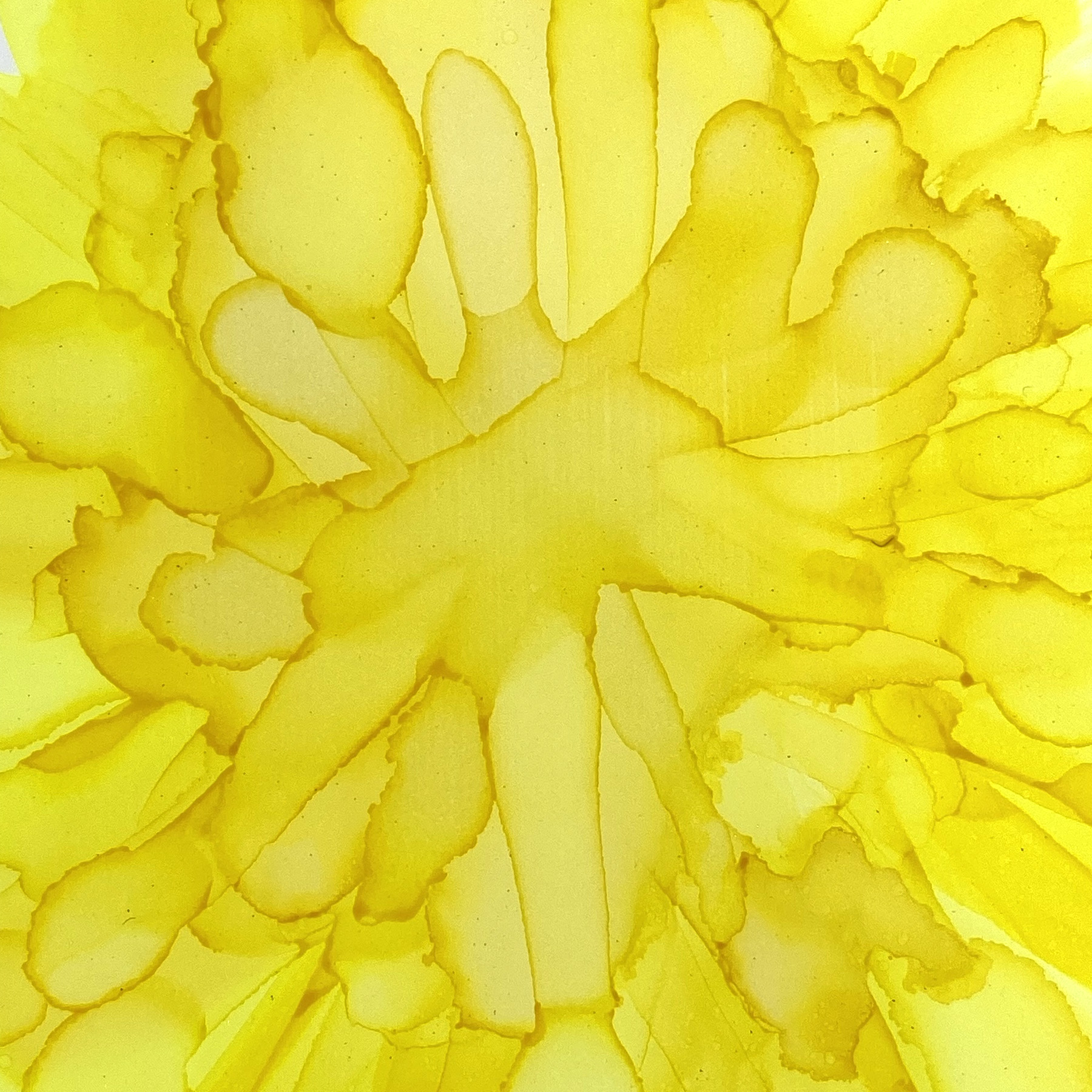 EVO – A Study in Yellow – Etc Papers